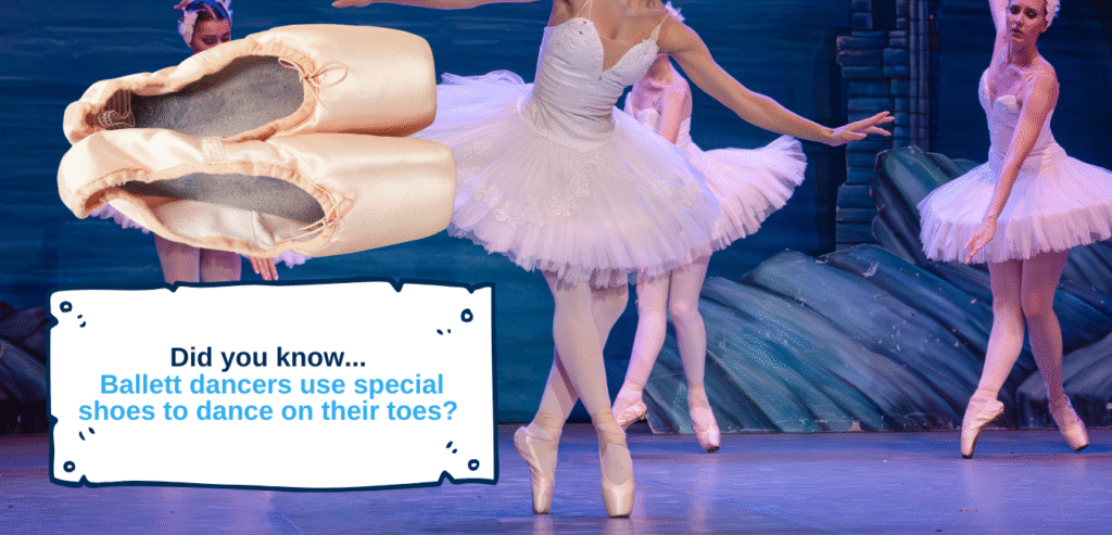 3.9 Python Impact NC - Rock by Rock